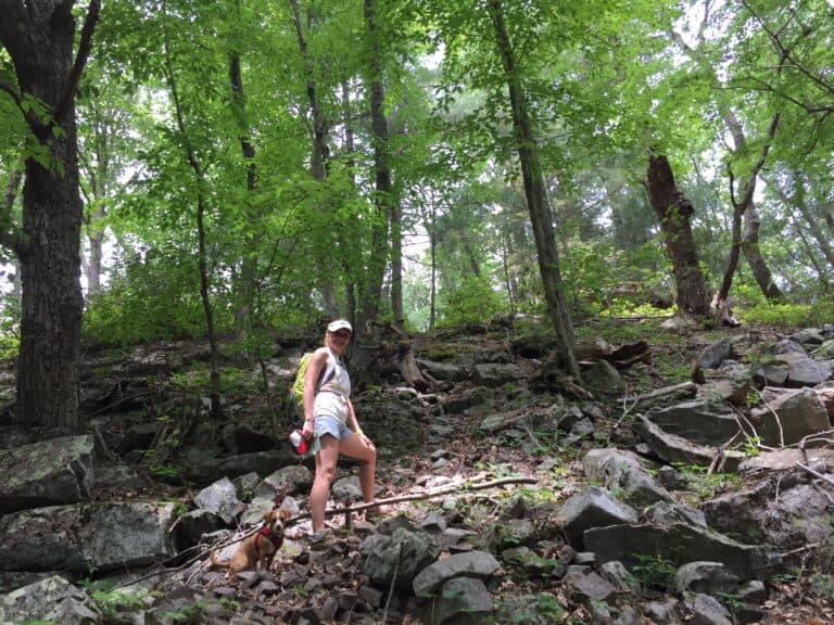 Trip Report: Poe Valley State Park in Pennsylvania - Road Trip Tails