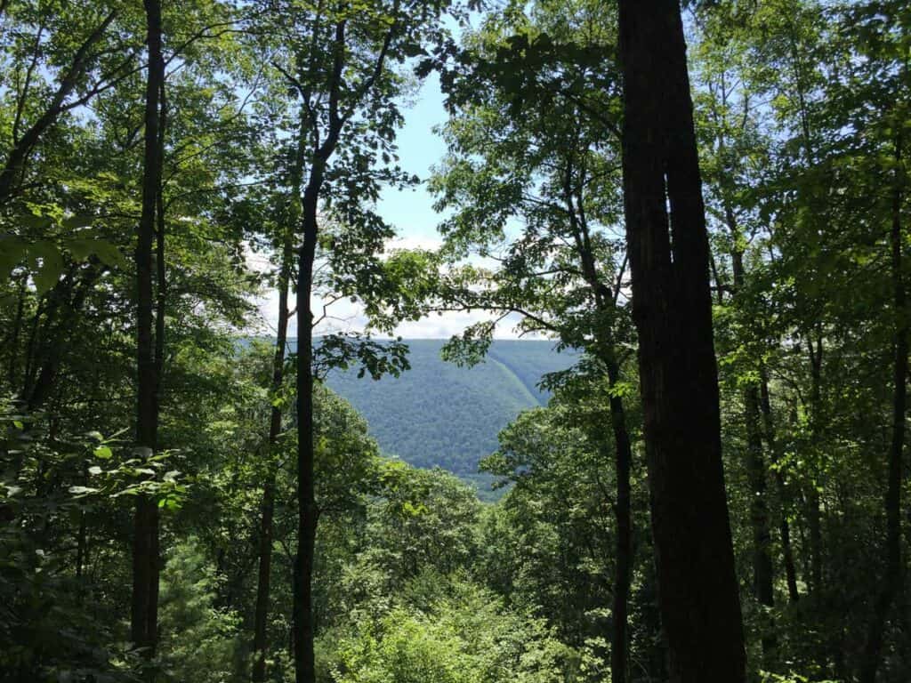 Trip Report: Hyner Run State Park in Pennsylvania - Road Trip Tails