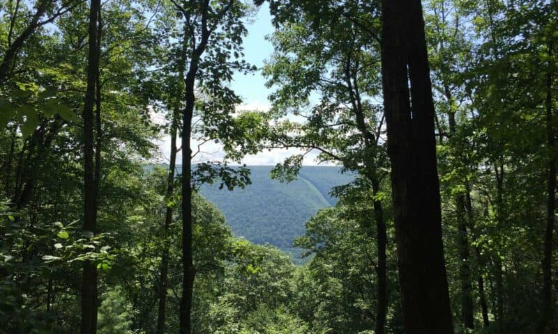 Pennsylvania Archives - Road Trip Tails