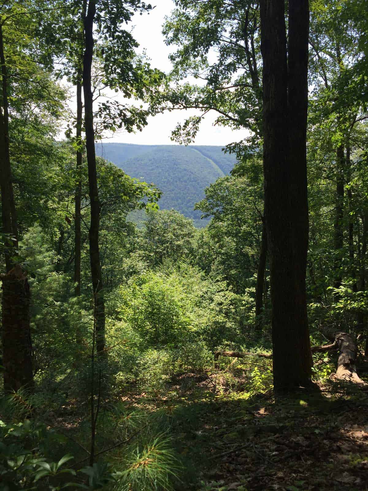 Trip Report: Hyner Run State Park in Pennsylvania - Road Trip Tails