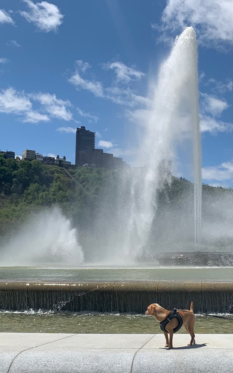 Trip Report: Point State Park in Pennsylvania - Road Trip Tails