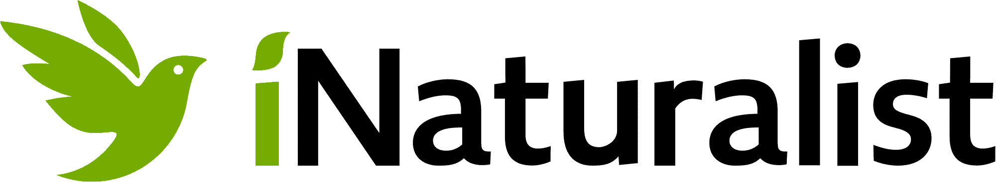 FLASH REVIEW! Observe, Identify, and Share with iNaturalist - Road Trip ...