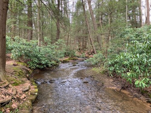 Trip Report: Kooser State Park in Pennsylvania - Road Trip Tails