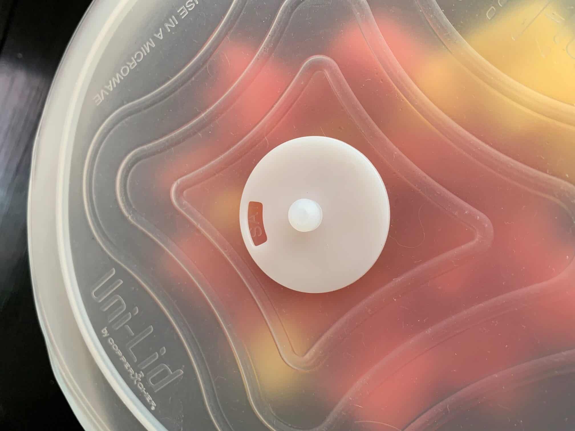 FLASH REVIEW! Uni-Lid Container Sealers - Road Trip Tails