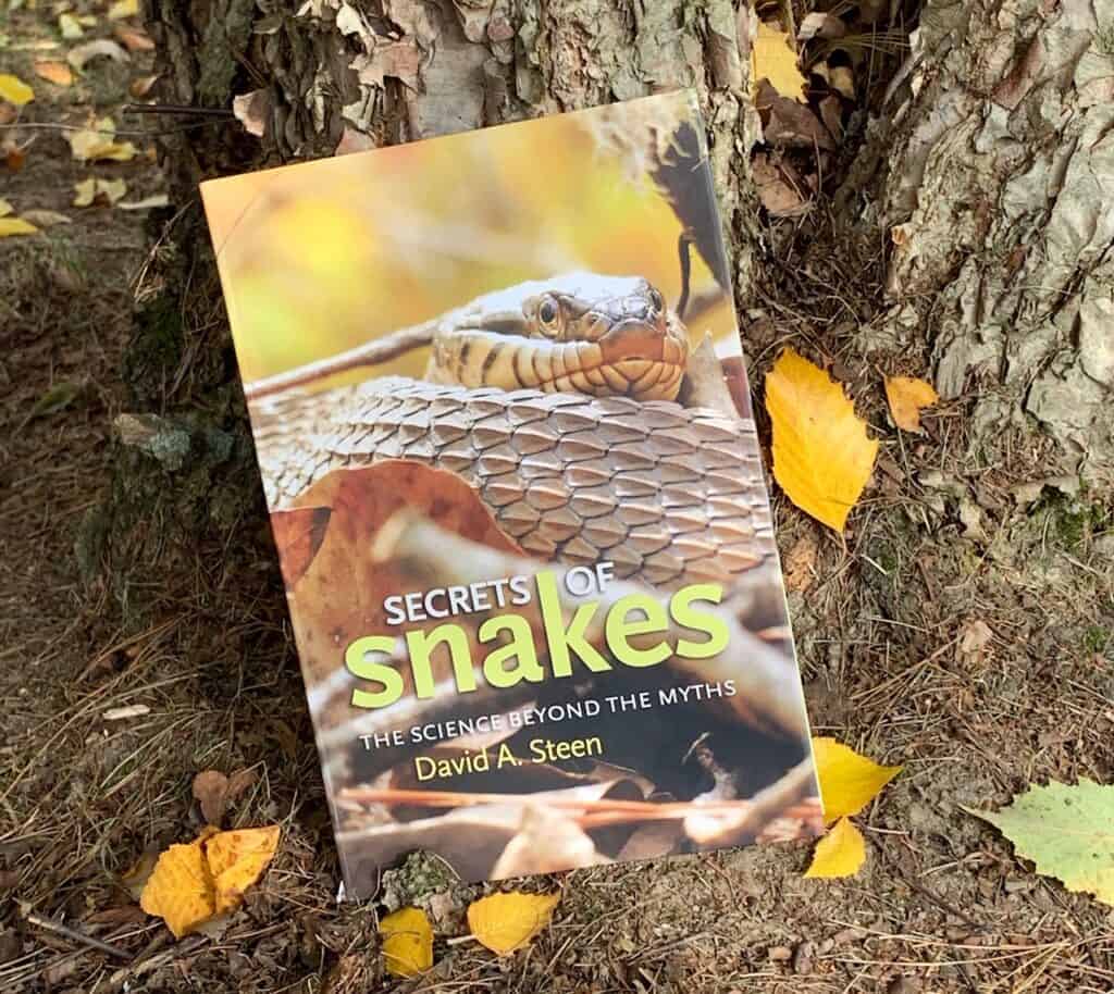 Recommended Reading: Secrets of Snakes - Road Trip Tails