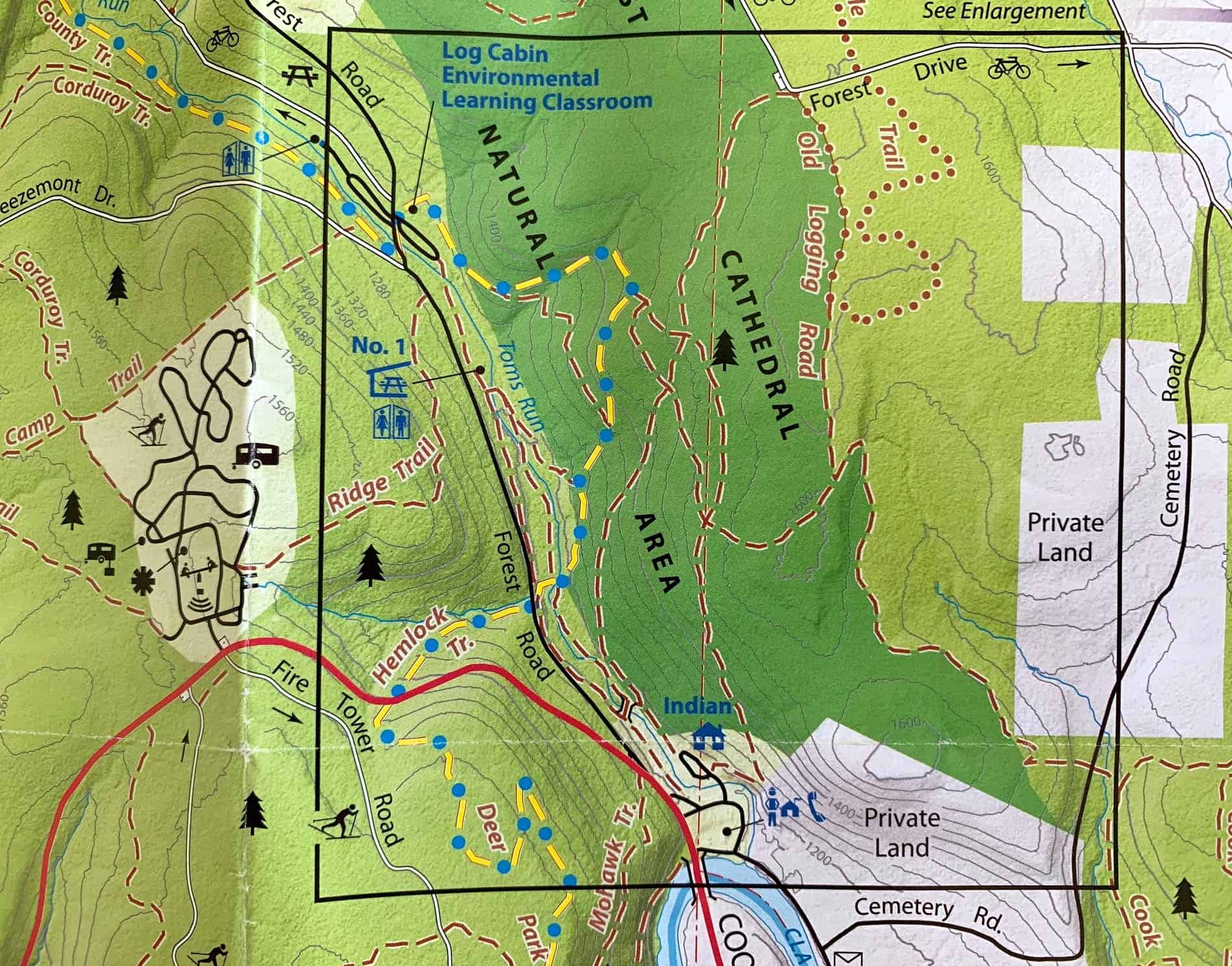 Trip Report: Cook Forest State Park in Pennsylvania - Road Trip Tails