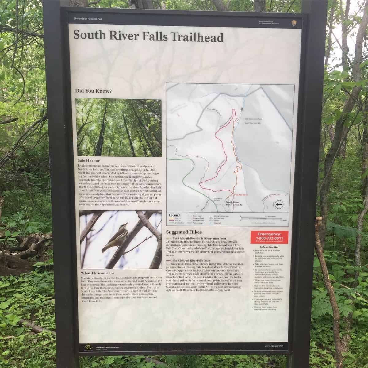 Trip Report: Shenandoah National Park in Virginia - Road Trip Tails