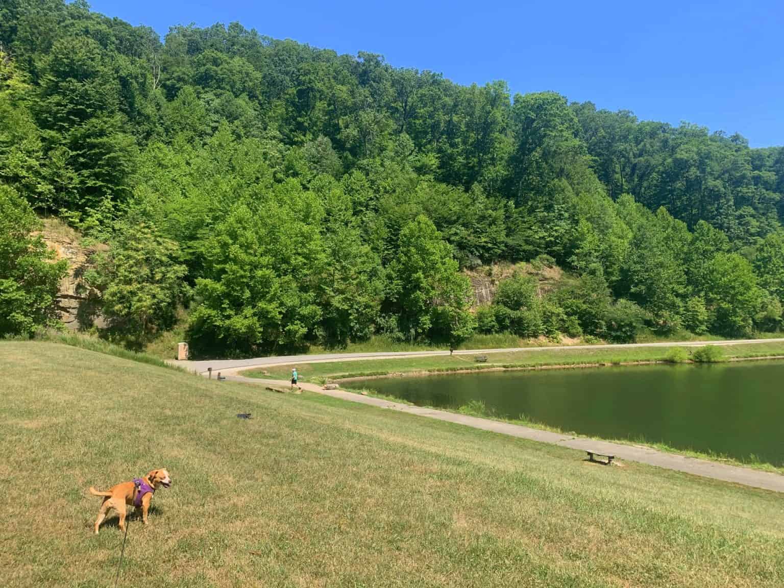 Trip Report: Chief Logan State Park in West Virginia - Road Trip Tails