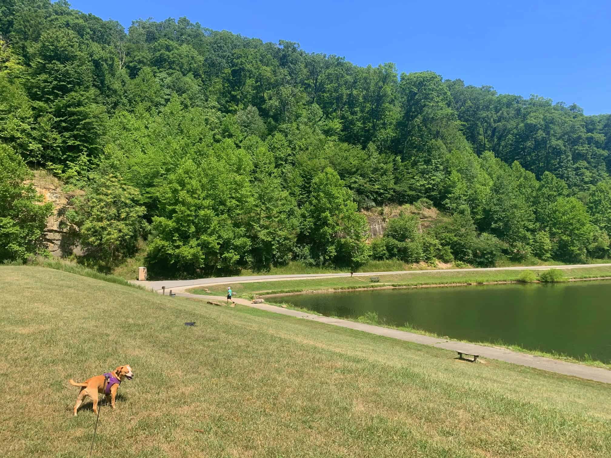 Trip Report: Chief Logan State Park in West Virginia - Road Trip Tails